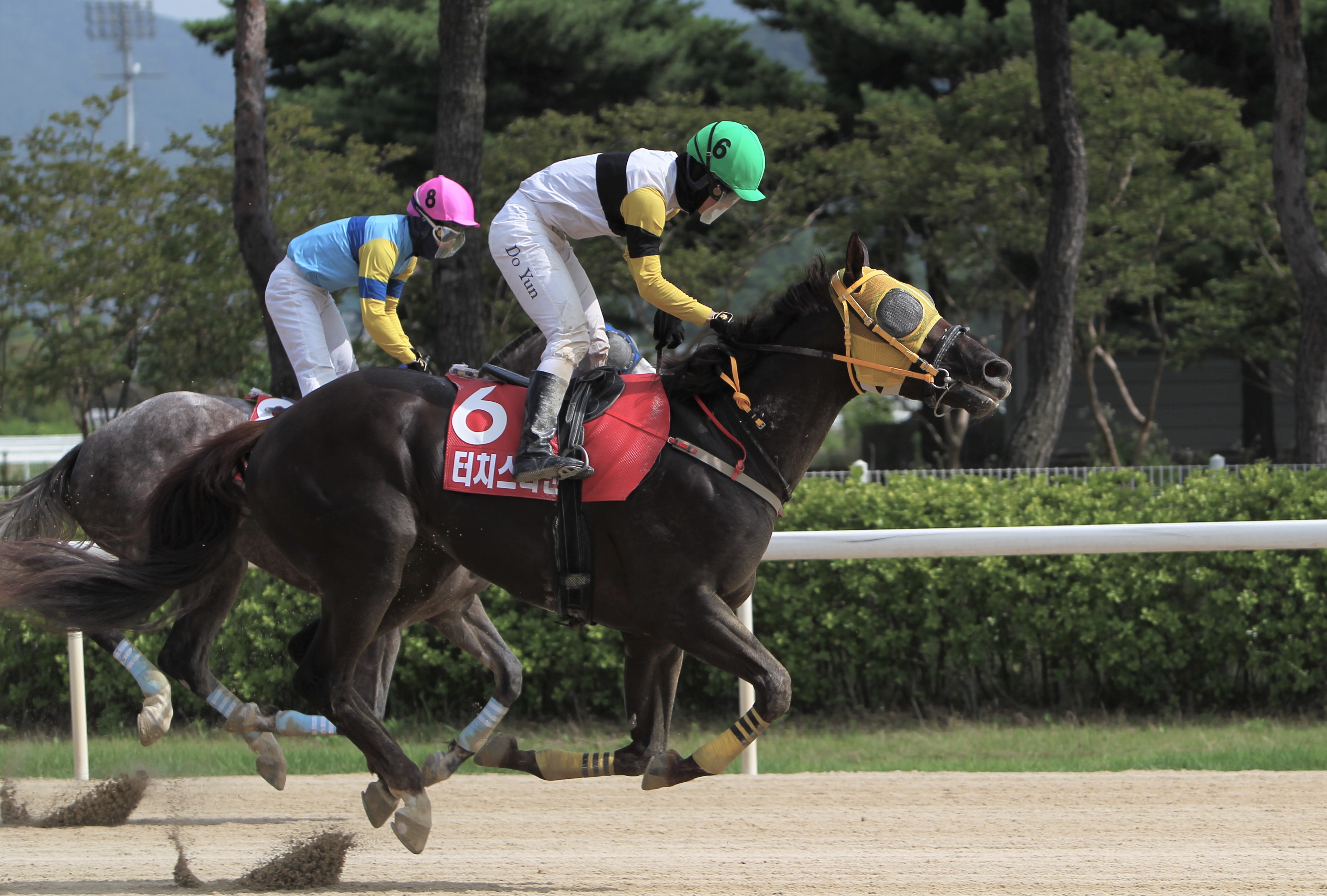 한국마사회 | 홍보센터>보도·입장자료>보도자료